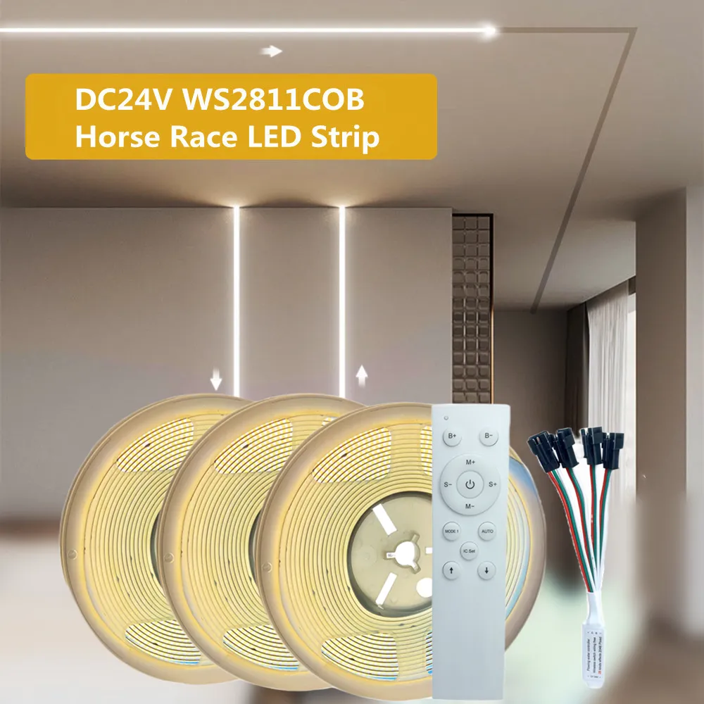 DHgate.com:WS2811Water Flow LED Strip, DC24V 360 LEDs/m, Horse Race ...