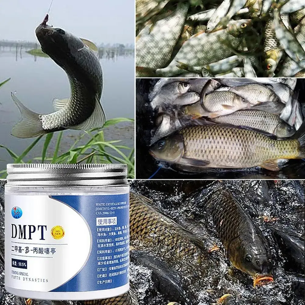 Fishing Lure Making Materials: Concentrated Fish Attractant Additive ...