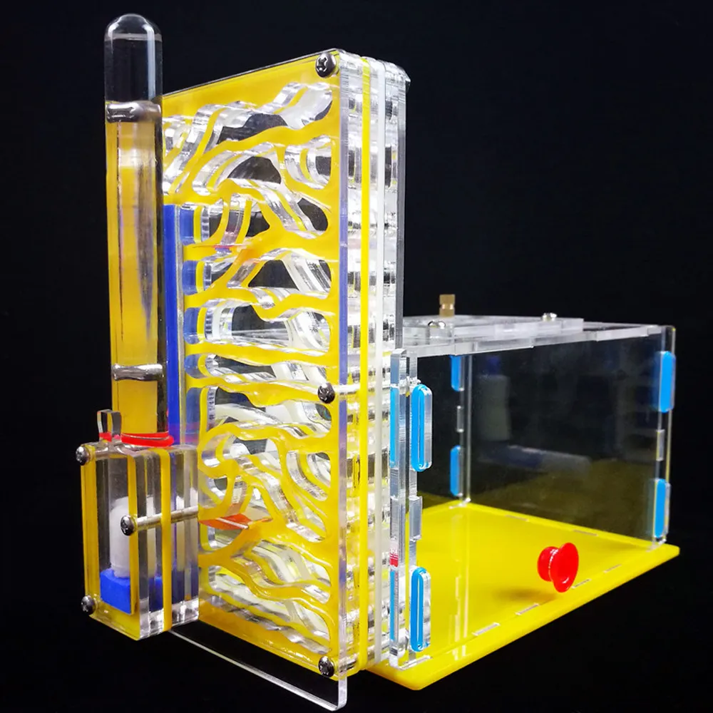 DHgate.com:Insect Ant Nest Villa with Water Towers, External Bowl, DIY ...