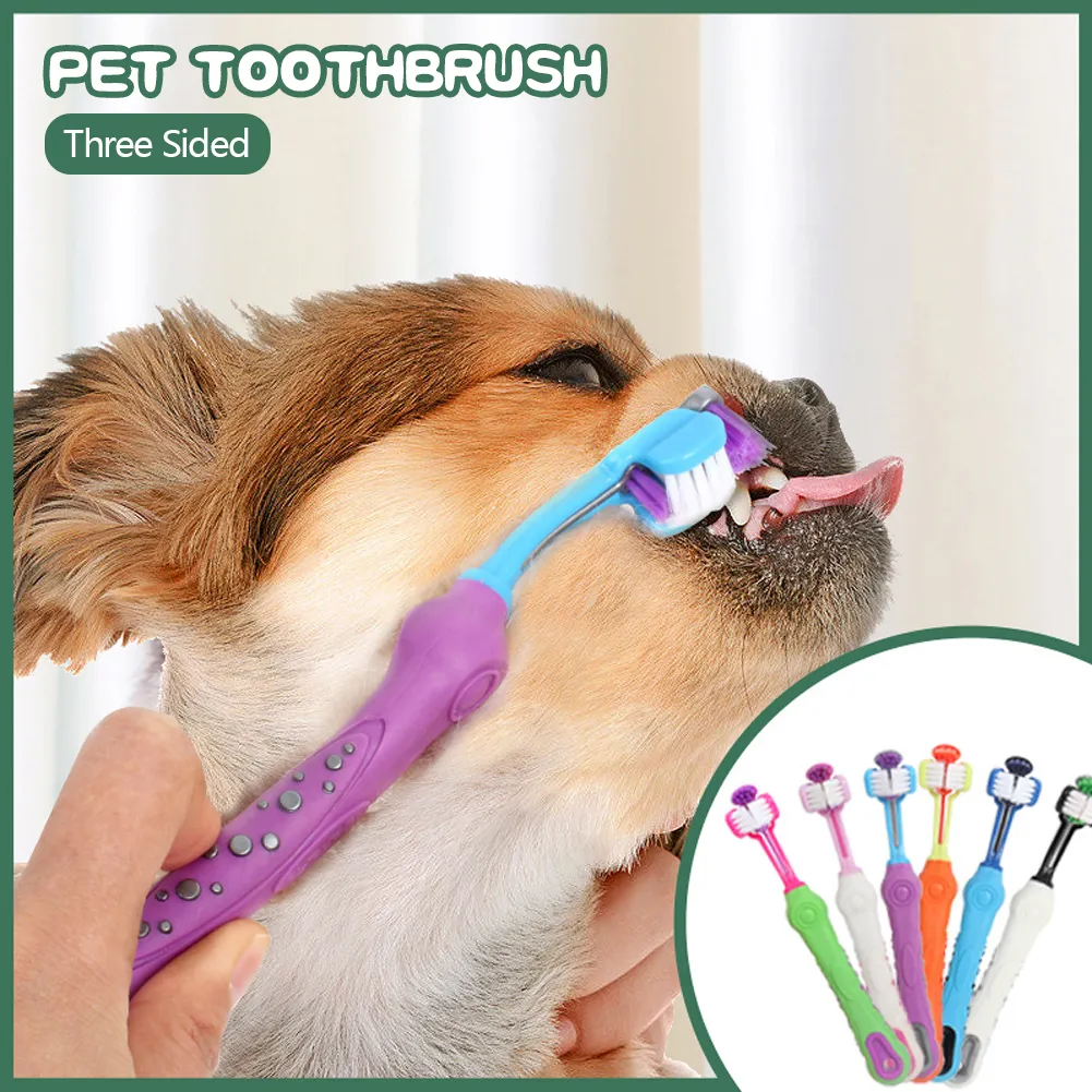 DHgate.com:3-Sided Pet Toothbrush: Multi-Angle Cleaning for Dogs & Cats ...