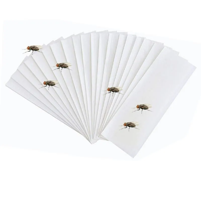 DHgate.com:Single-sided Transparent Insect Catcher Sticker: Non-toxic ...