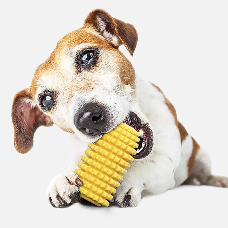 New Dog Toy Corn Molar Stick Chew Resistant Toothbrush Dog Bite Pet ...