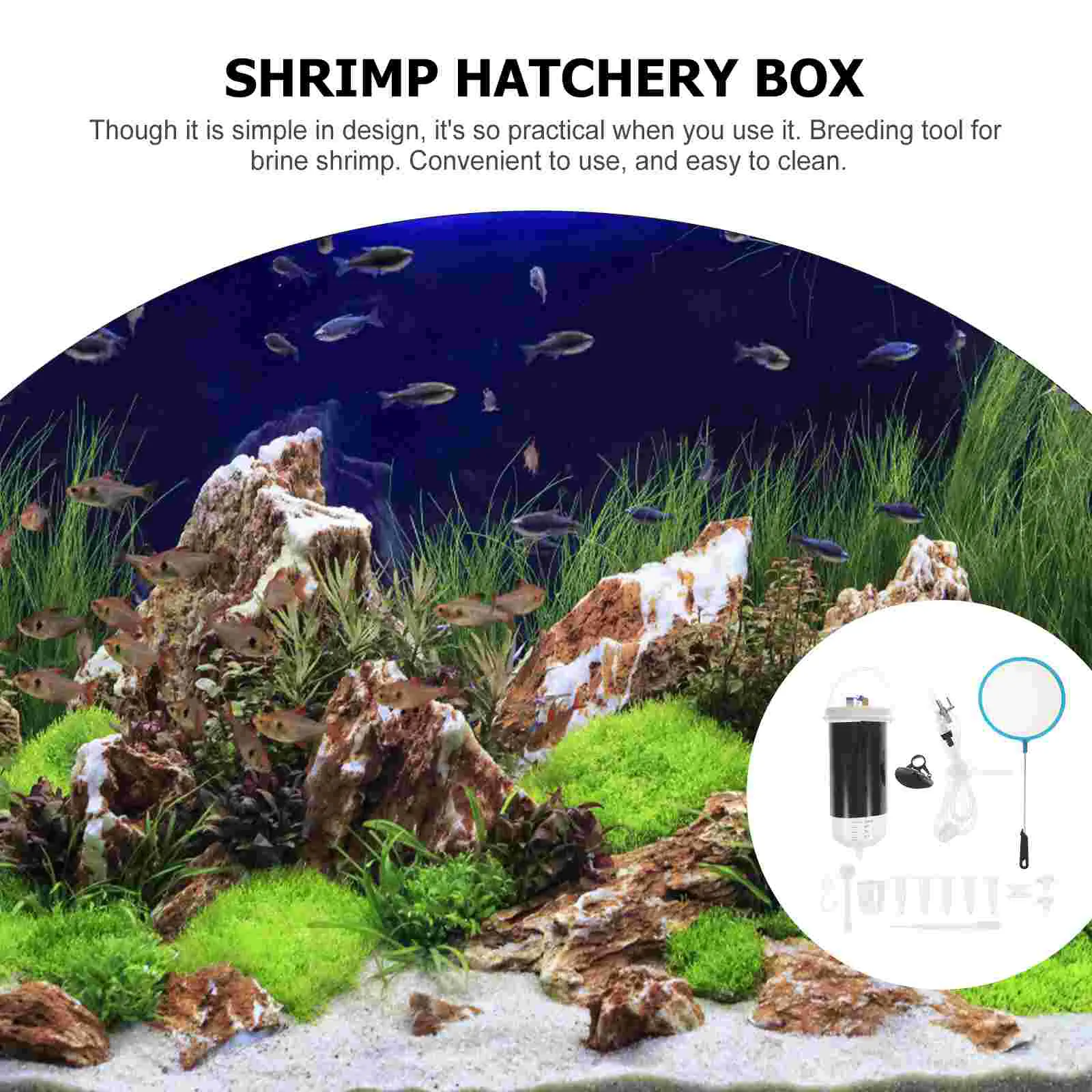 Shrimp Incubator Box For Home Use Perfect For Shrimp, Eggs Floating In ...