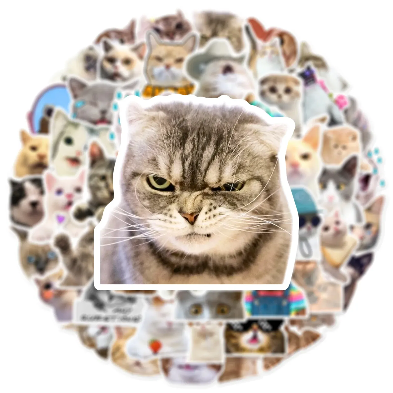 10/30/Funny Cat Waterproof Vinyl Stickers for Luggage Cup Laptop Phone ...