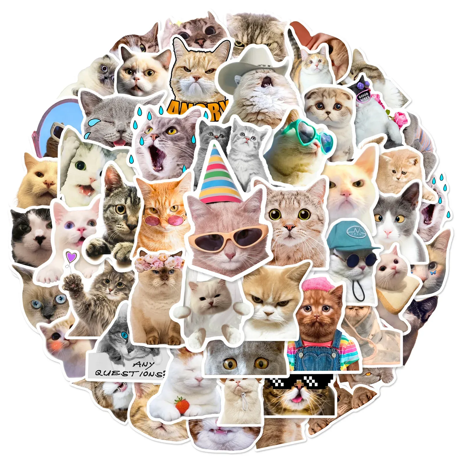 Fun Cat Meme Stickers Set Of 10/25/50 For DIY Decor, Stationery ...