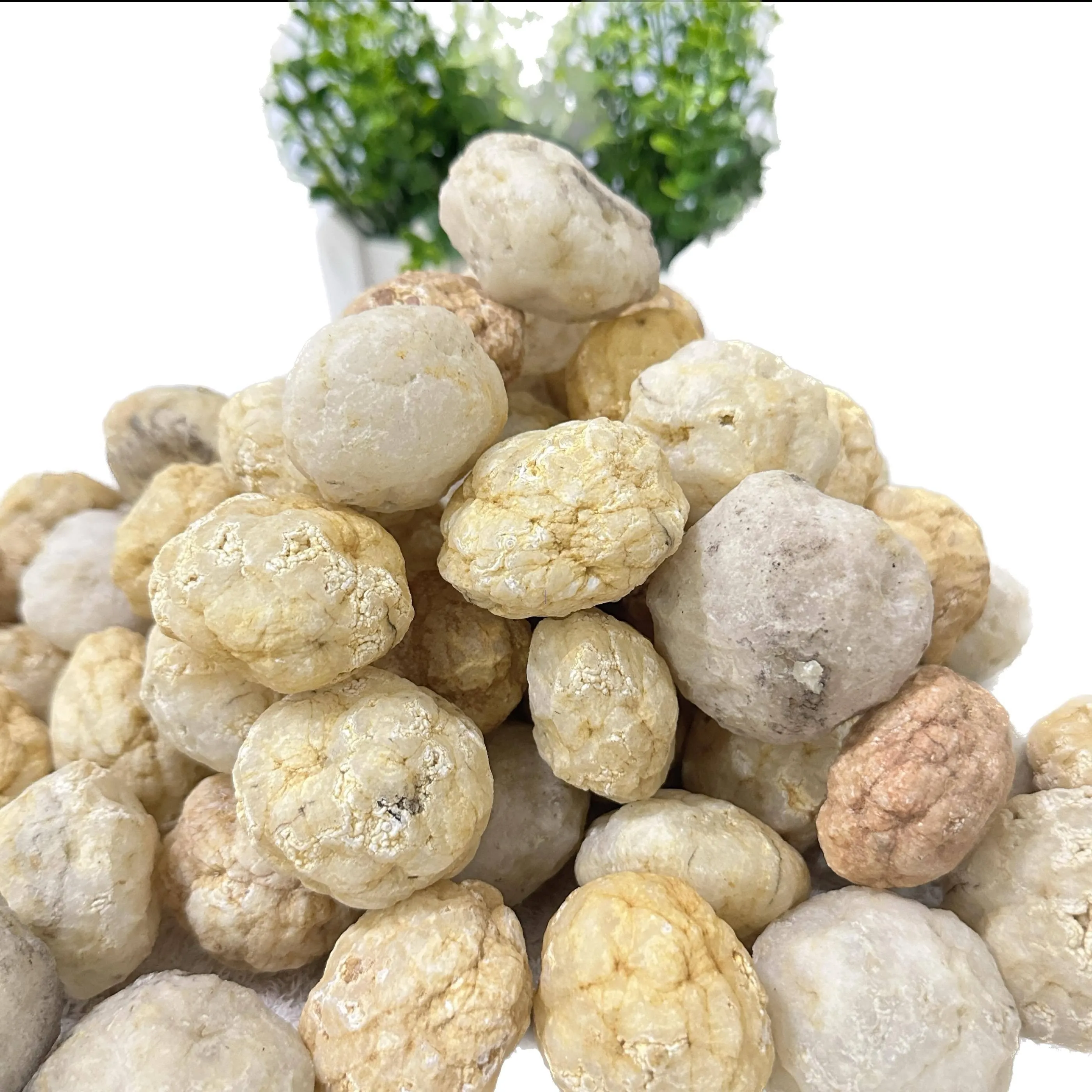 Break Open Geodes: Natural Agate Crystals Inside! Real Geode Rocks with ...