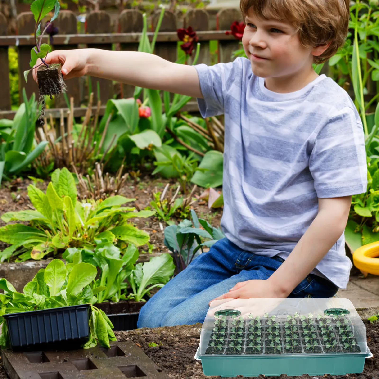4 Pack 40 Cell Seed Trays With Clear Lids Humidity Adjustable Seed ...