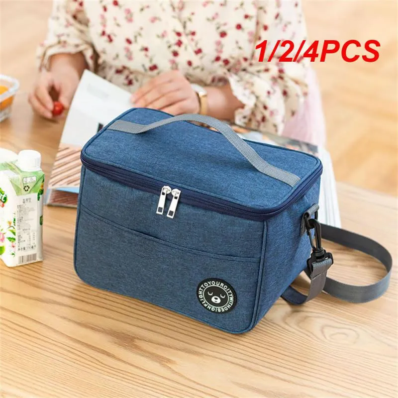 Portable Insulated Lunch Bag: Durable Thermal Cooler Tote Handbag for ...