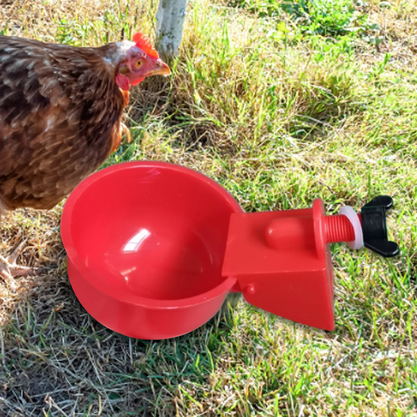 Automatic Chicken Drinker Kit - Poultry Water Feeder Bowl Cup for Farm ...