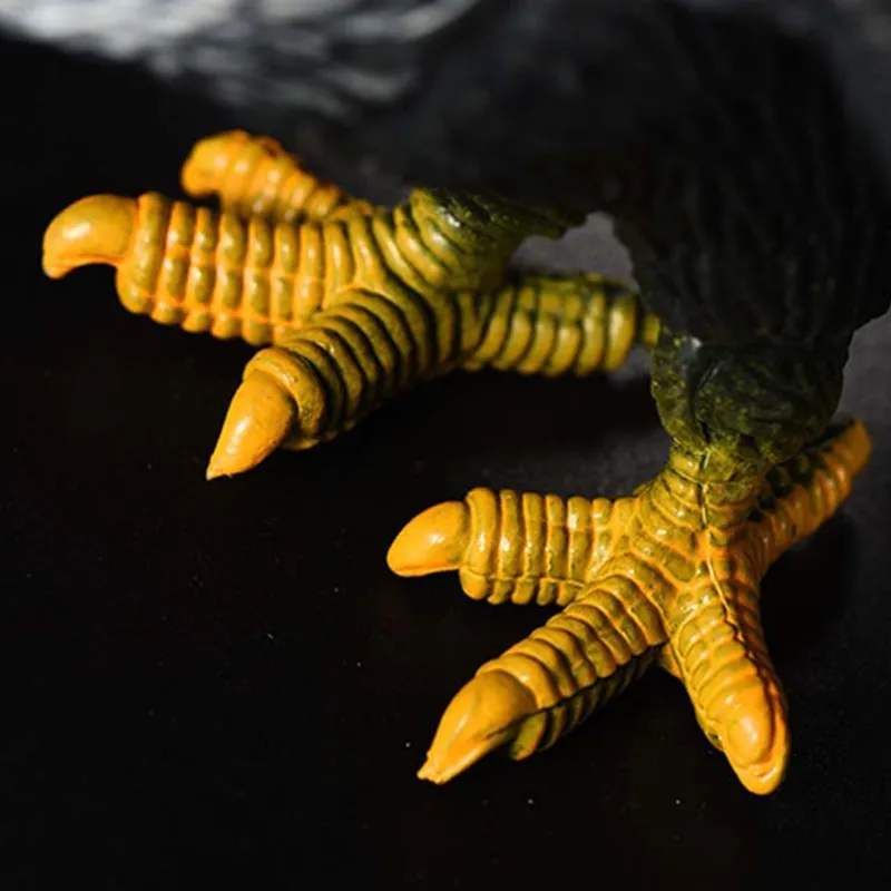 Solid Static Eagle Bird Figure - Educational arvind gupta toys biology ...