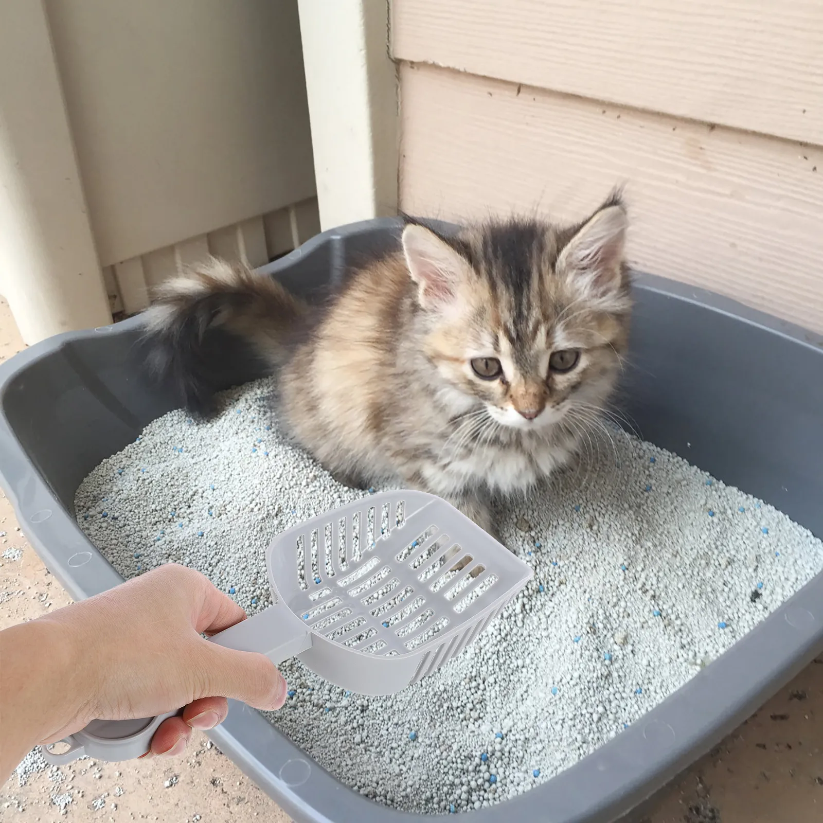 DHgate.com:Cat Litter Scoop Set: Portable Sand Shovel w/ Storage Barrel ...