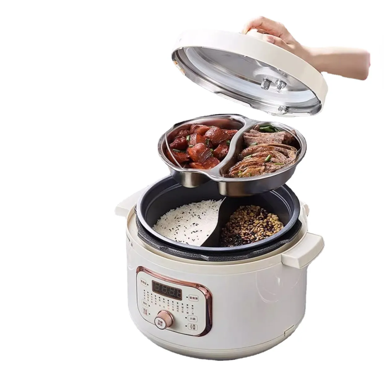 220V Electric Pressure Cooker - Multi-Functional Rice Cooker with Non ...