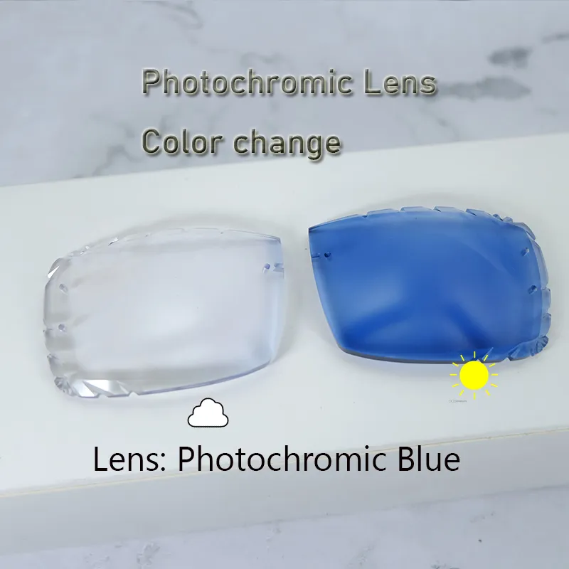 Photochromic Sunglasses Lenses: Two-Color, Four-Season Interchangeable ...