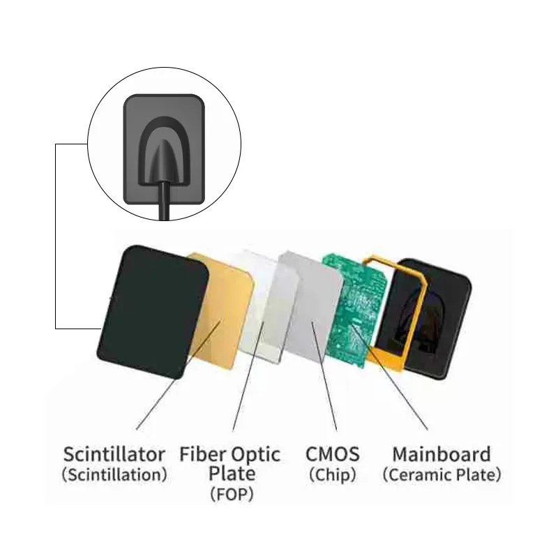 DHgate.com:VVDental RVG HDR 500 600 Dental X-Ray Sensor: IPX7 ...