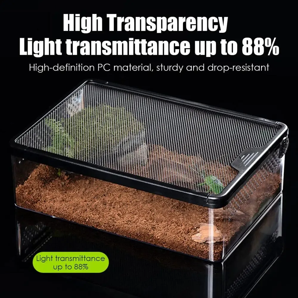 Large Ventilated Reptile Terrarium for Lizards, Spiders, & Ants ...