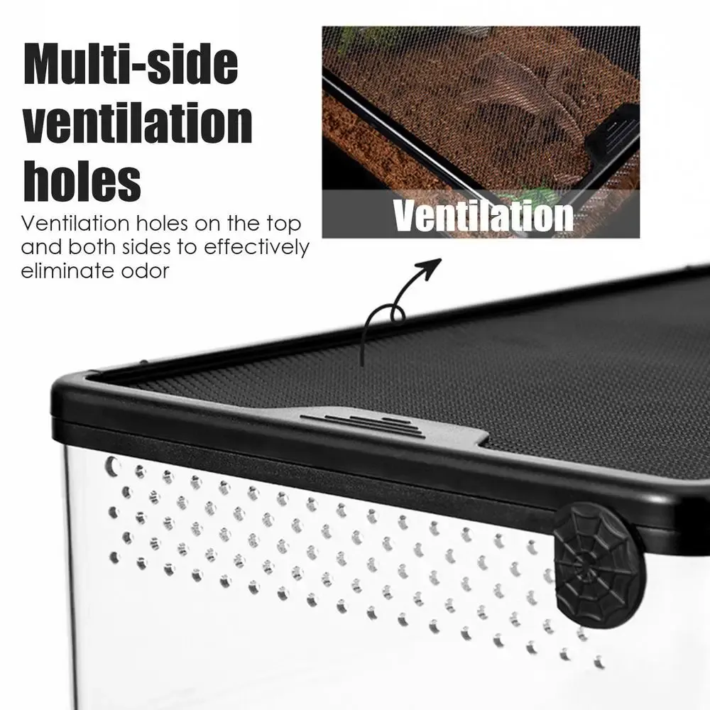 Large Ventilated Reptile Terrarium for Lizards, Spiders, & Ants ...