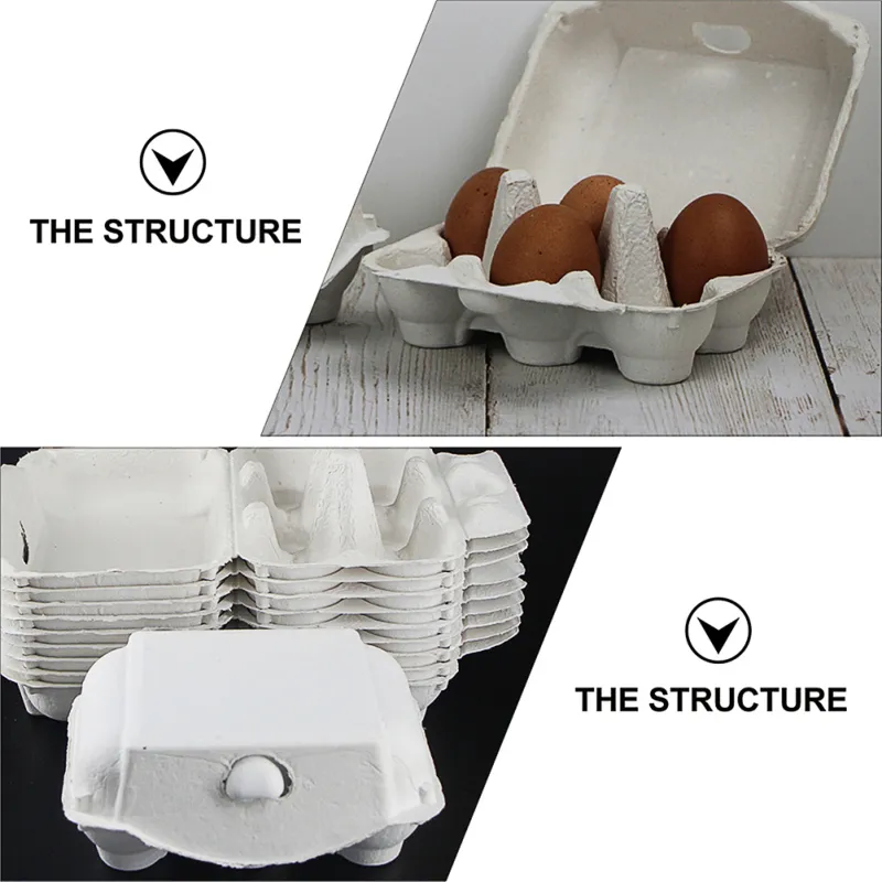 Egg Cartons: 12 Tray Case, Reusable Cardboard Pulp Holder, Paper ...