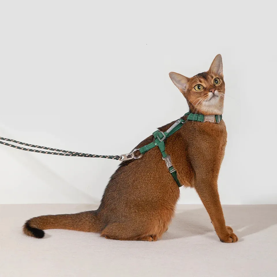 DHgate.com:Reflective Cat Harness & Leash Set - Adjustable, Comfortable ...