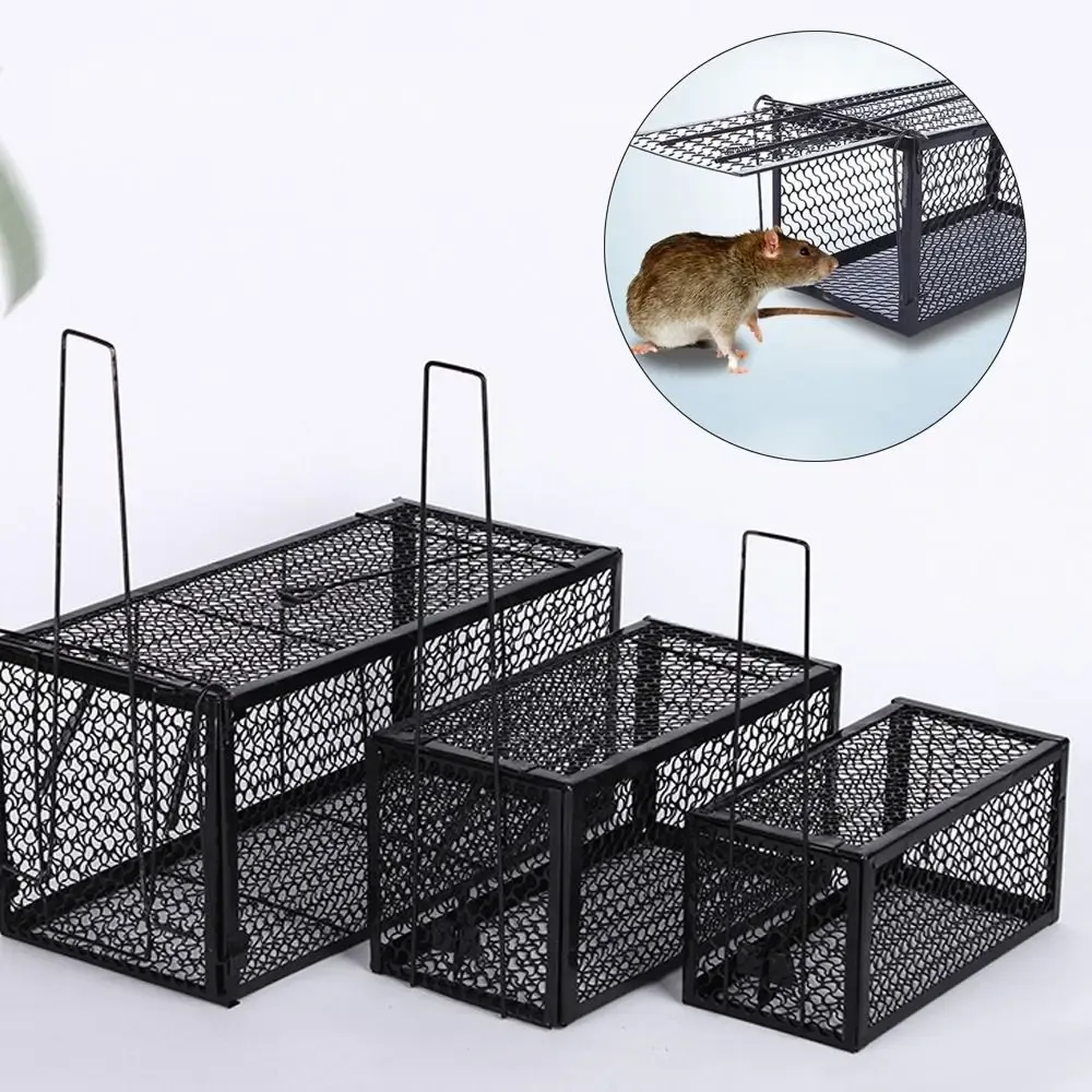 Animal Control Self Locking Chat Trap Catcher For Mouse, Rat, And Bait ...
