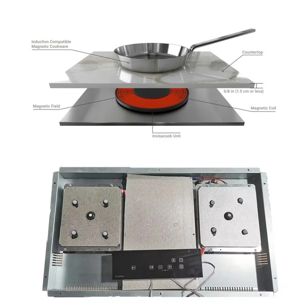 2000W Invisa Induction Stove: 2-Burner Electric Built-In Double ...