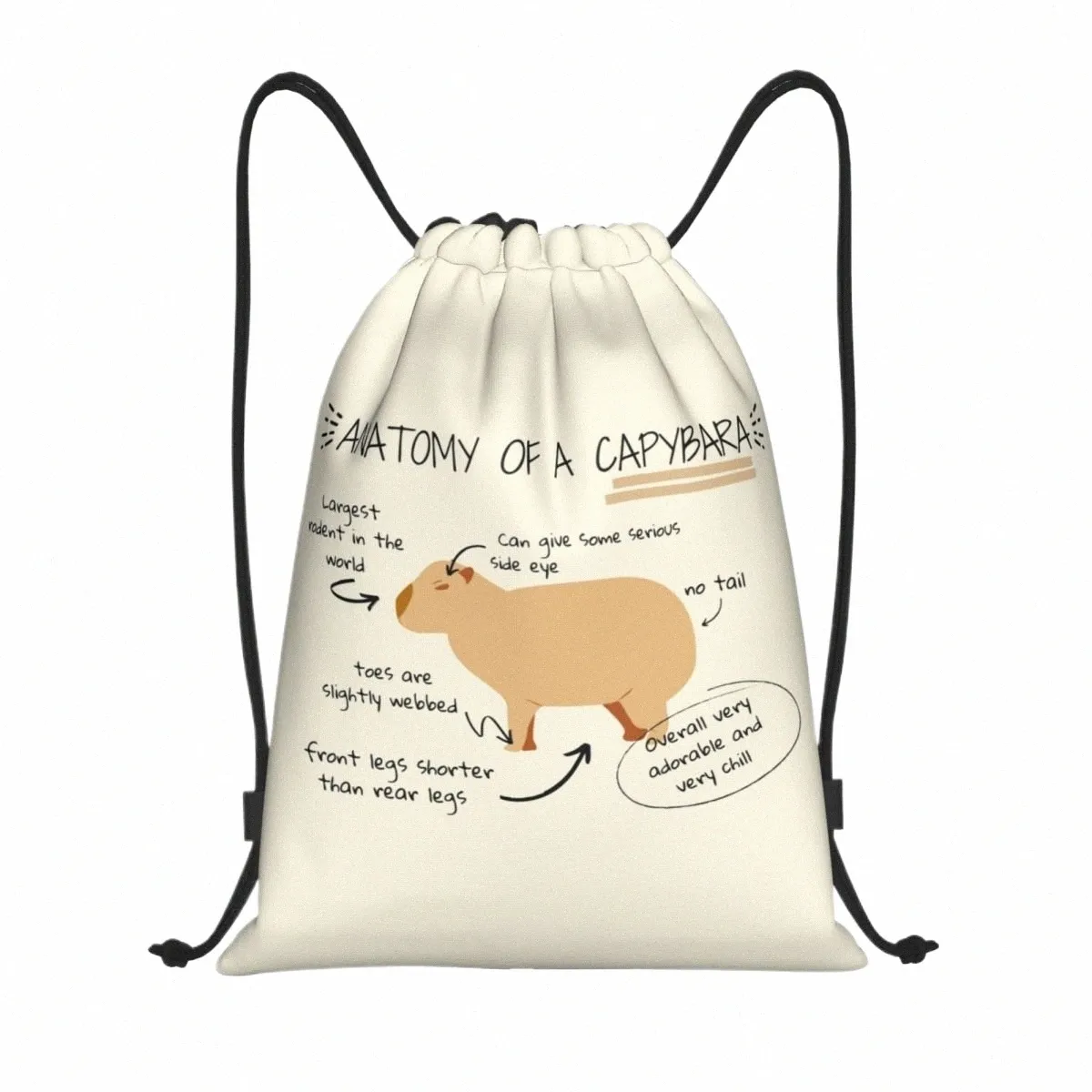 Anatomy Of A Capybara Drawstring Bags Women Men Foldable Sports Gym Sackpack Training Storage ...