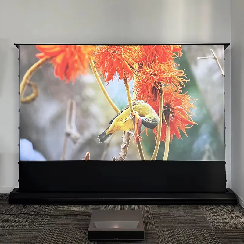 120 Motorized Floor Rising Projector Screen - ALR CLR, Tensioned, 4K/8K ...