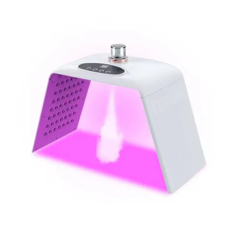 LED Portable Face Light Therapy Mask With Mist Spray For Home Use Light ...