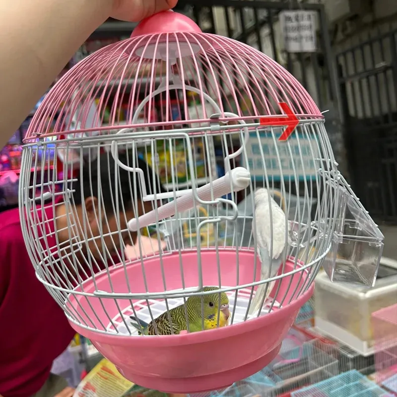 Mini Spherical Bird Cage - Ornamental Standing Parrot Cage, Easy Clean ...