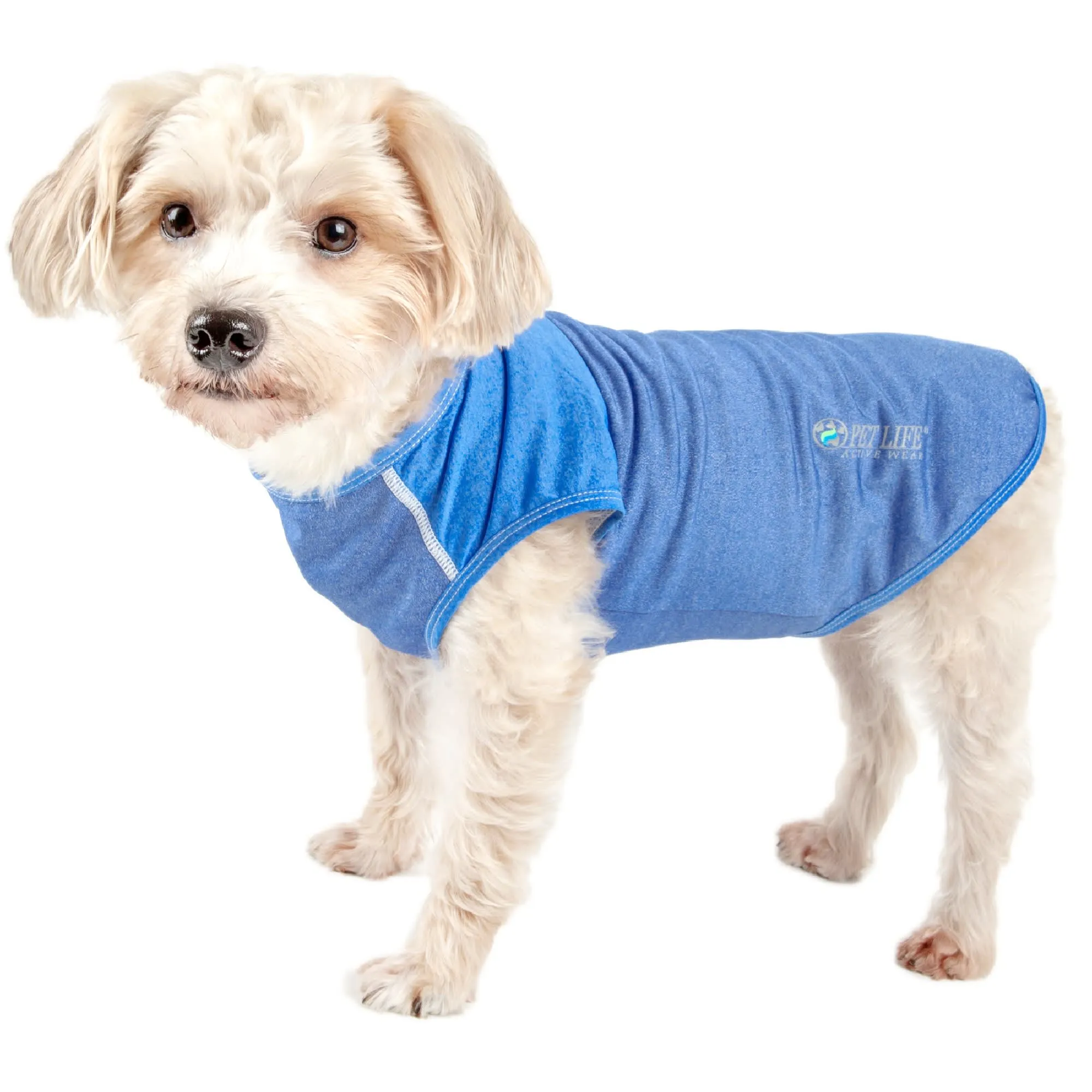 Heathered Blue Quick-Dry Dog T-Shirt Tank Top, Large - Shop Now! Comfy ...