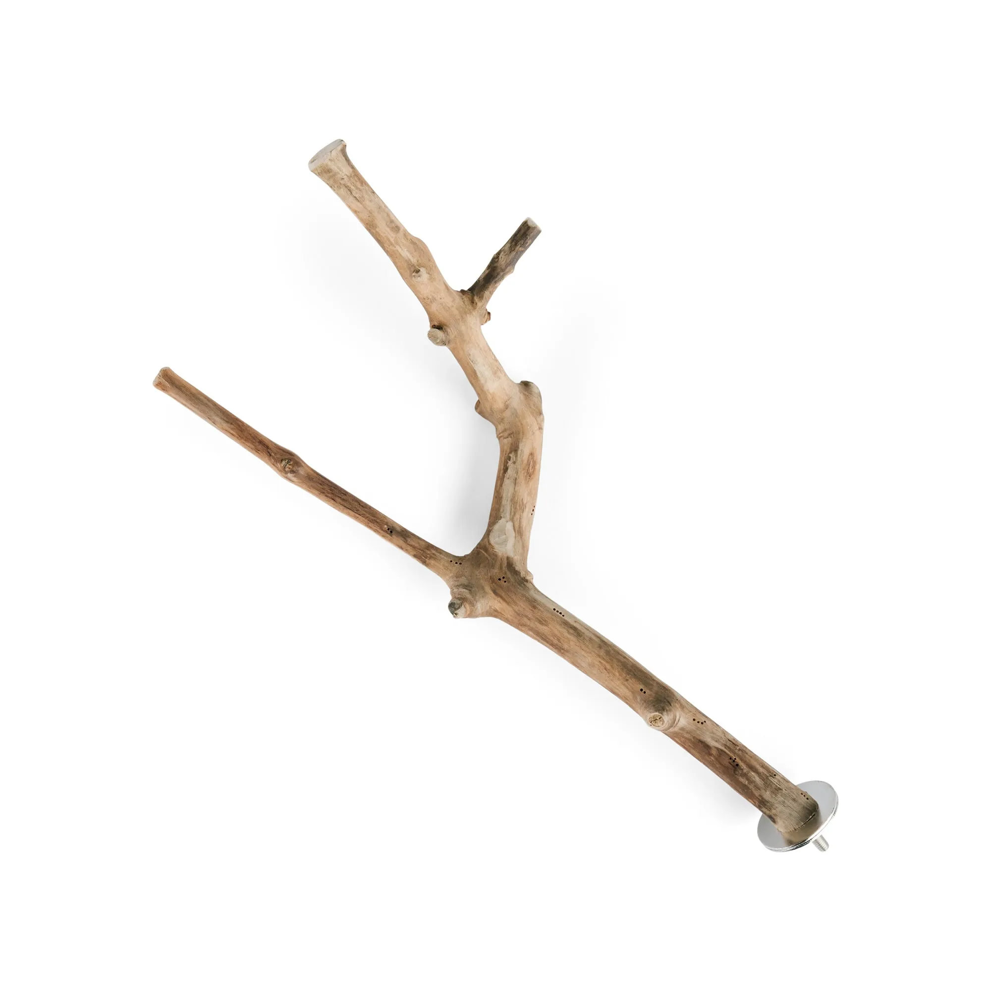 X-Small Natural Java Wood Multi-Branch Parrot Perch - Best Seller, Shop Now! from Dhgate Perches ...