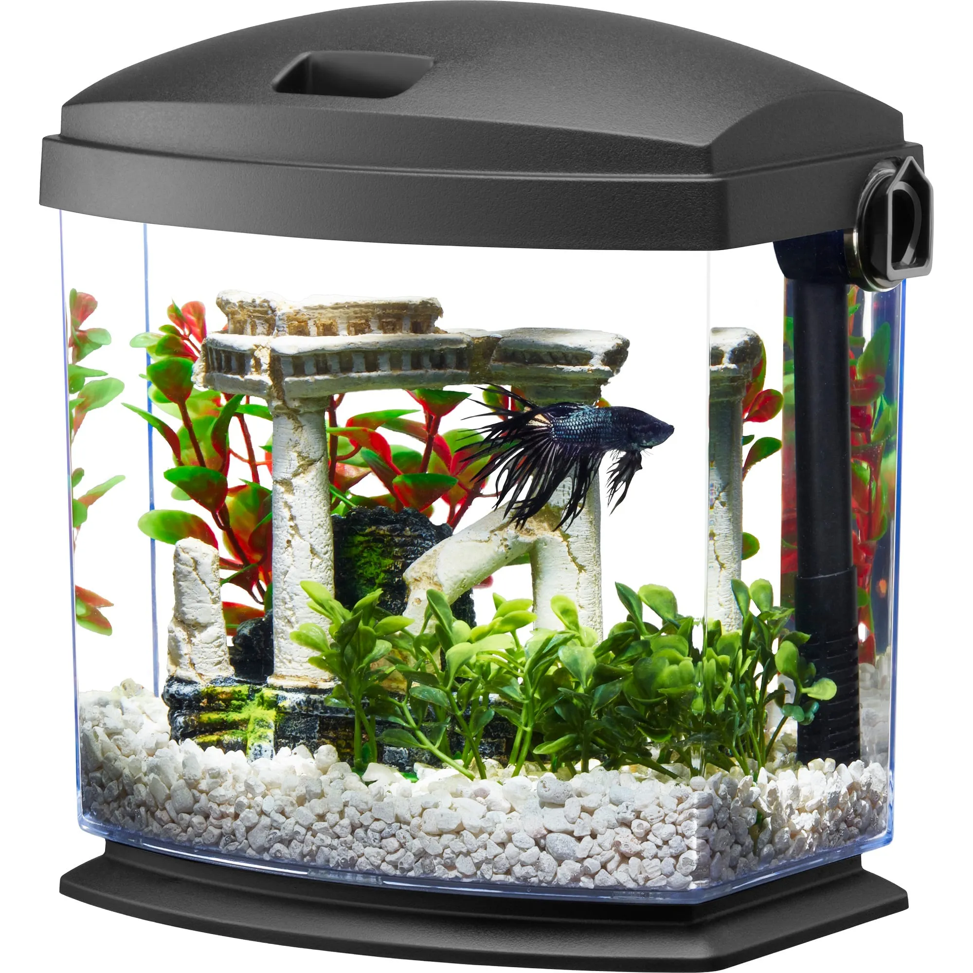 Betta Fish Aquarium Kit: Complete Setup, LED Lighting, Easy Clean, Shop ...