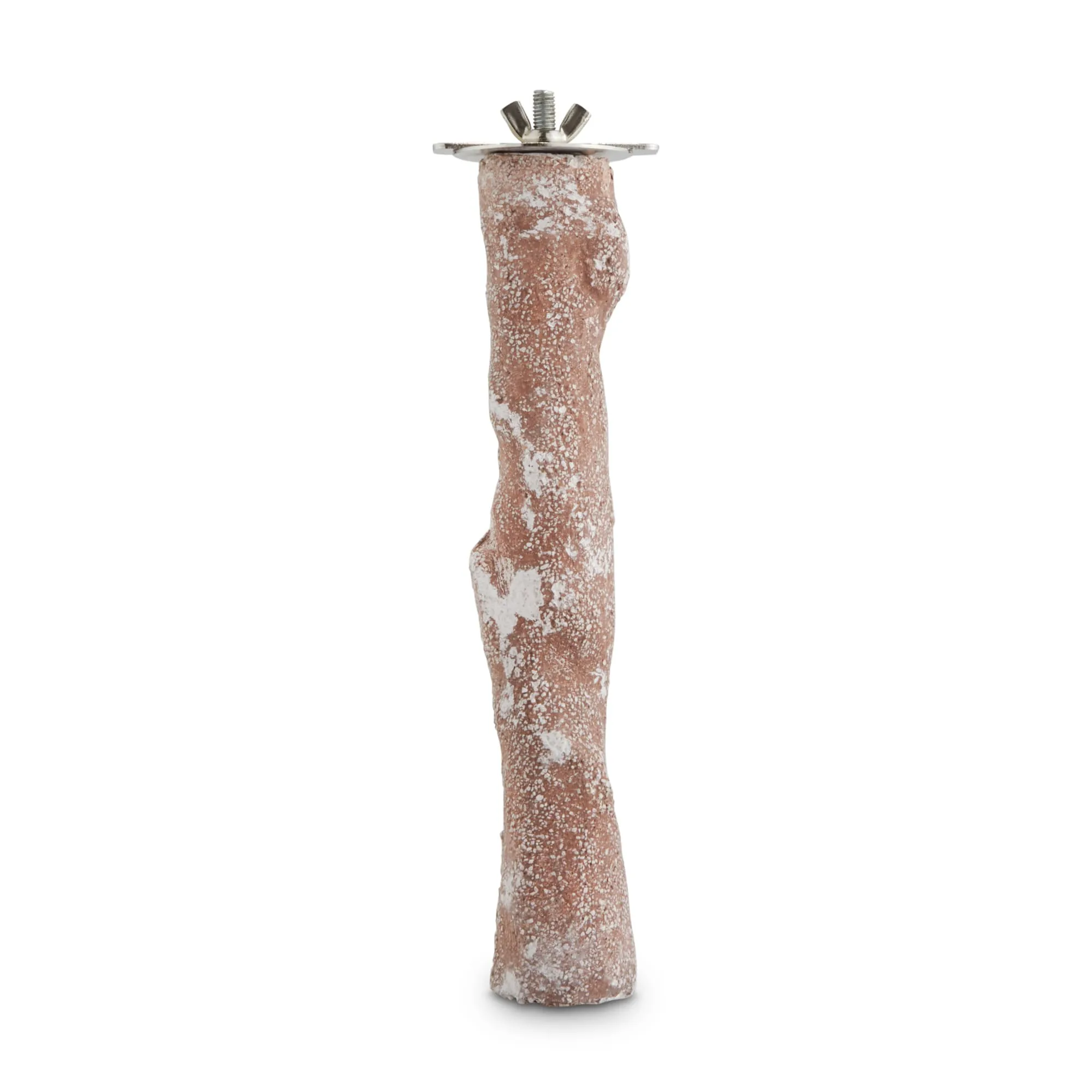 Large Sand Bird Perch: Natural Wood Bird Branch Perch, Bird On Perch ...