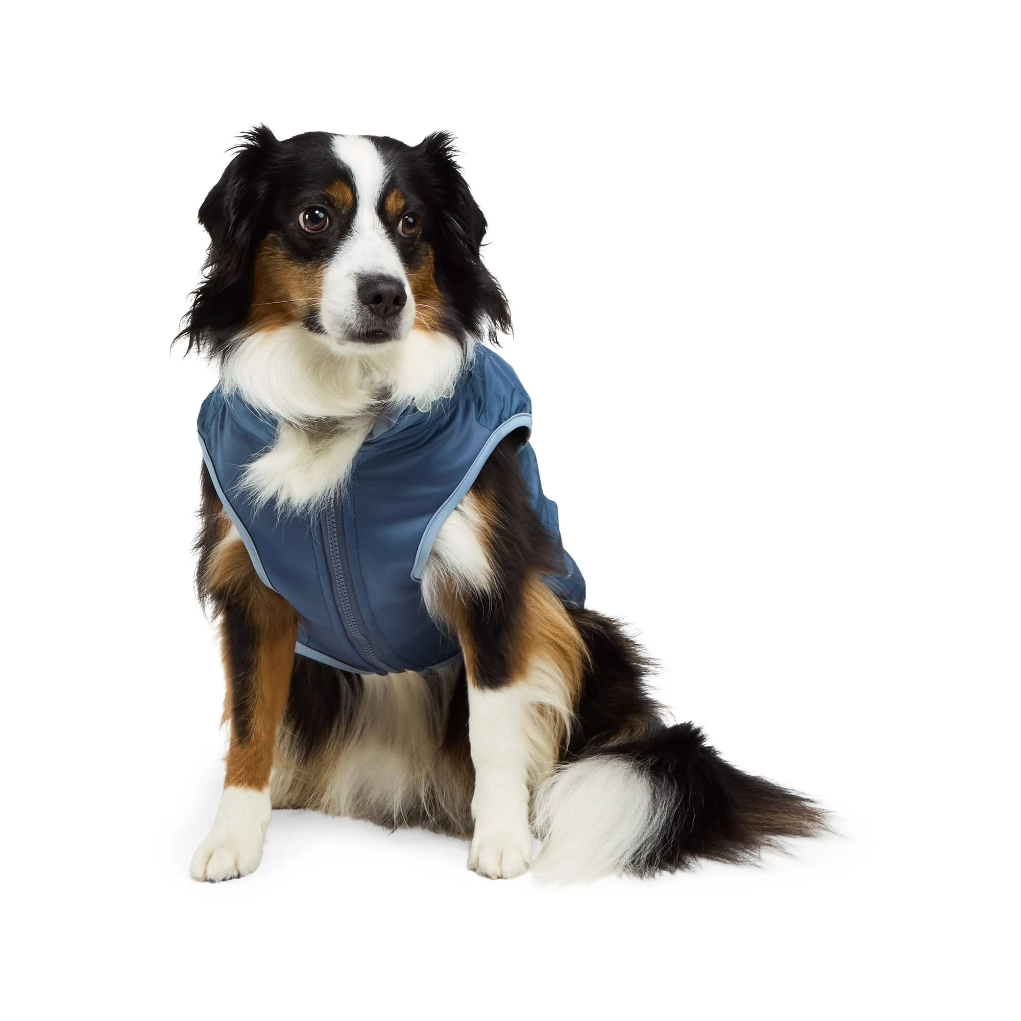 Packable Dog Puffer Jacket with Hood - Blue, Medium | Canine Jackets On ...