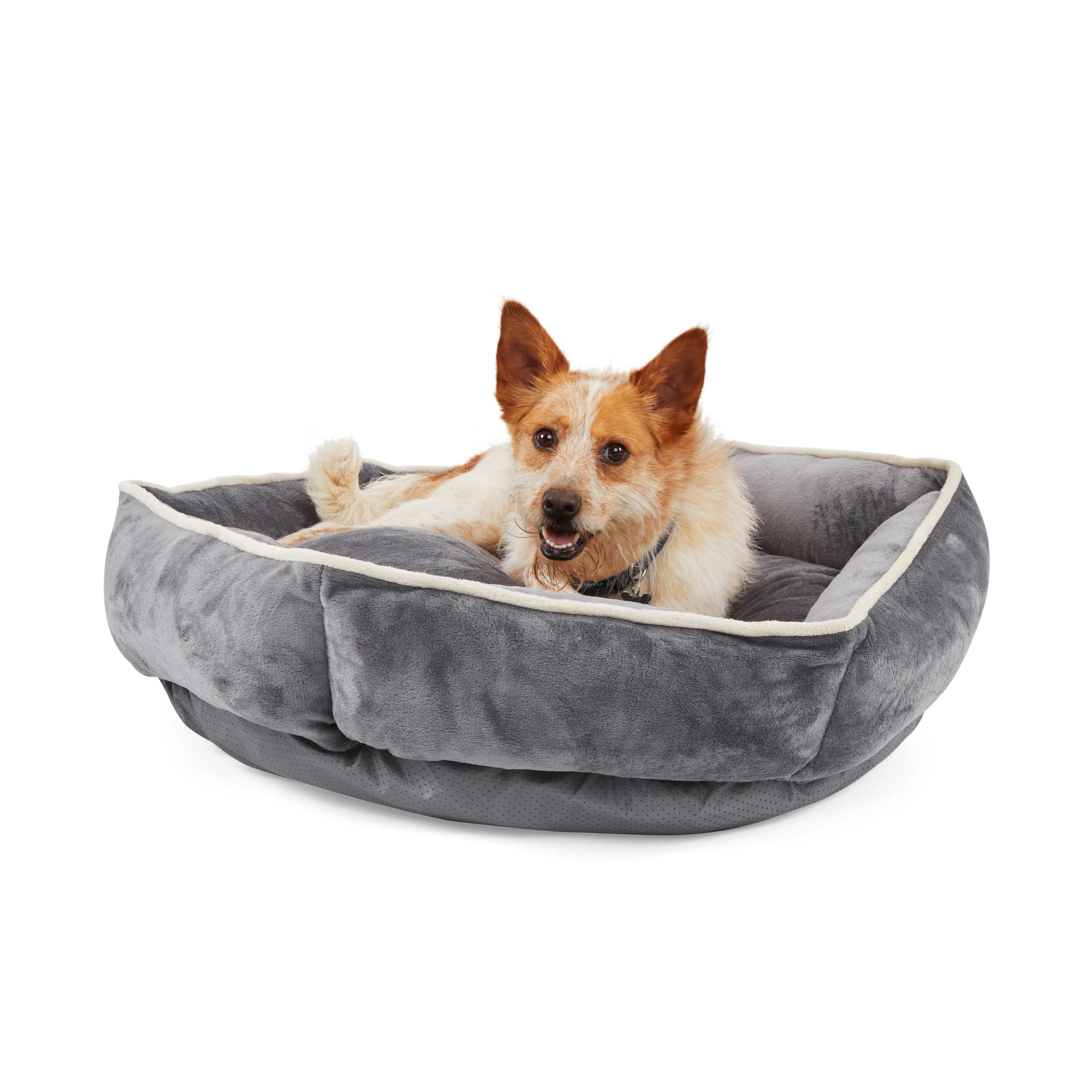 Premium XXL Snuggler Dog Bed: 36 Round Comfort, Best Seller! Perfect ...