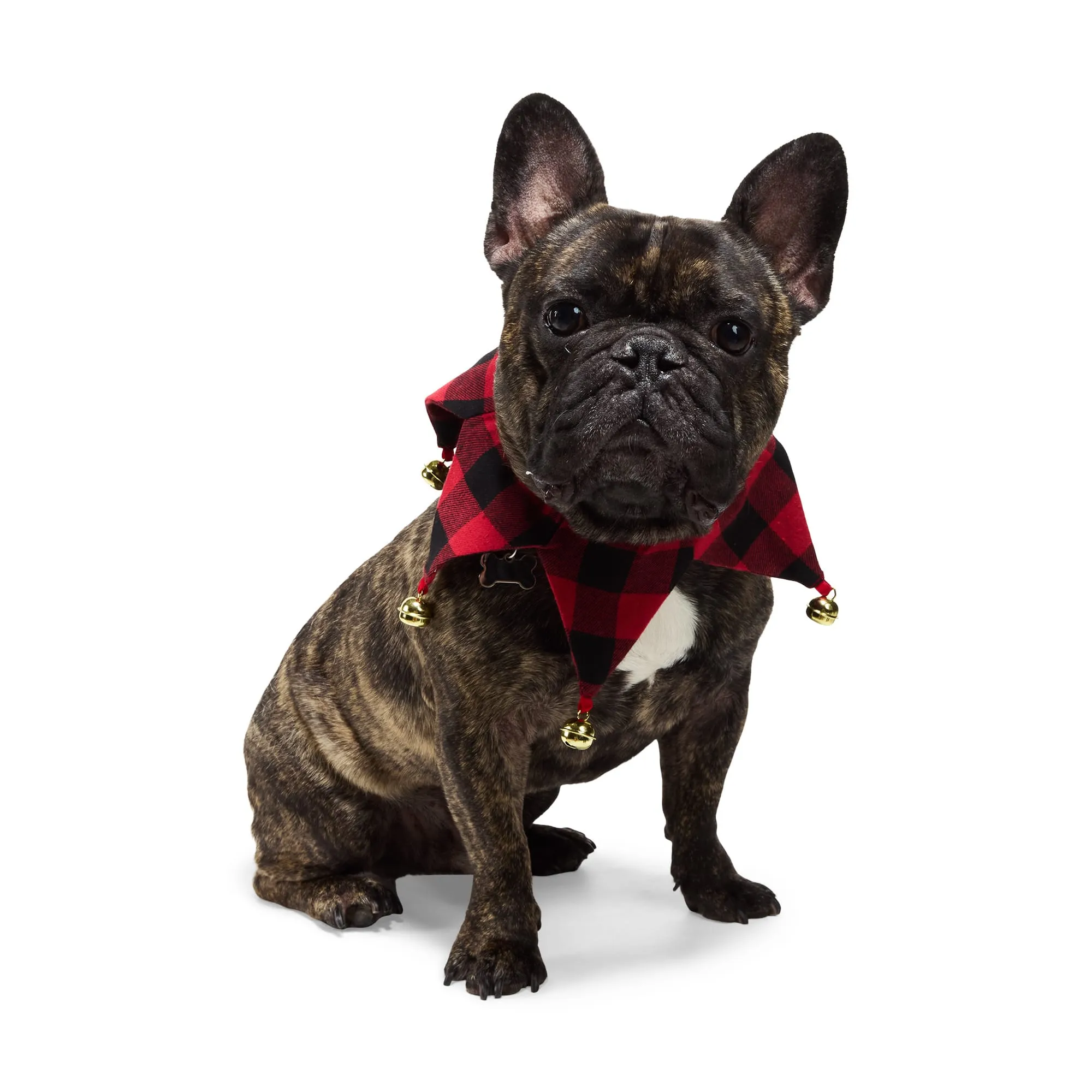 Buffalo Check Jester Dog Collar - L/XL - Festive Xmas & Halloween Dog ...