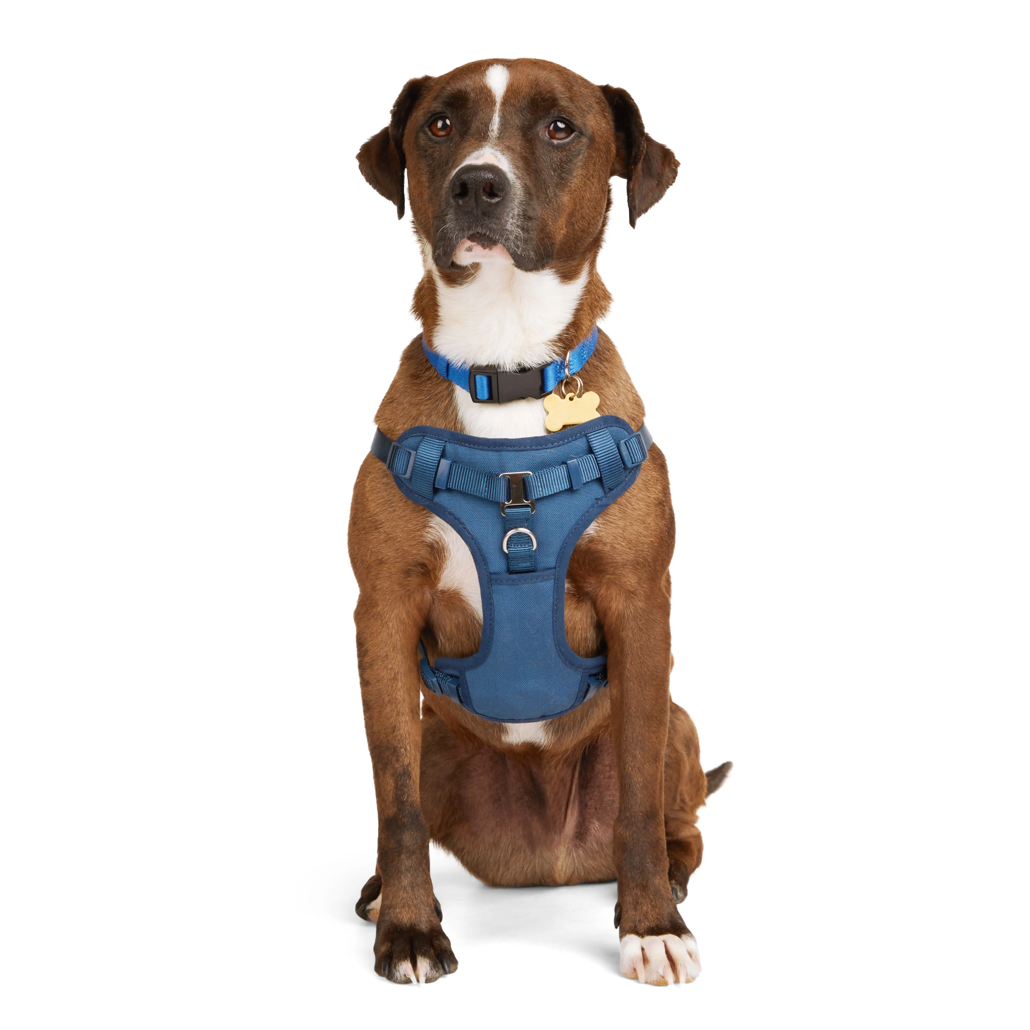 Padded Step-In Dog Harness, Navy, X-Small, Polyester, 0.266 lb from ...