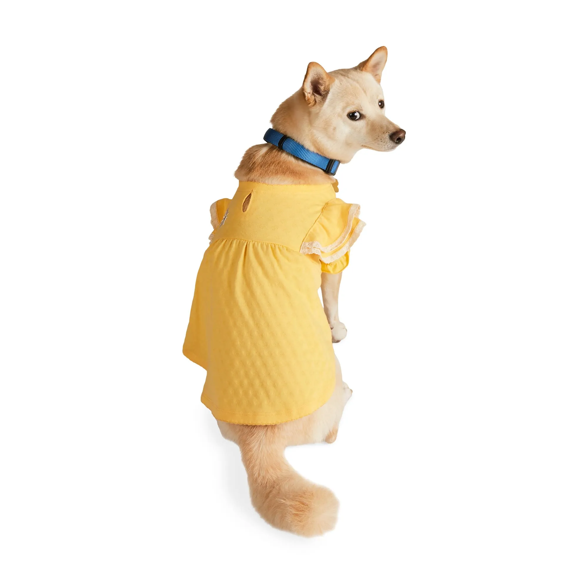 Puff Sleeve Dog & Cat Dress, Medium, Yellow - Adorable Pet Outfit! Shop ...