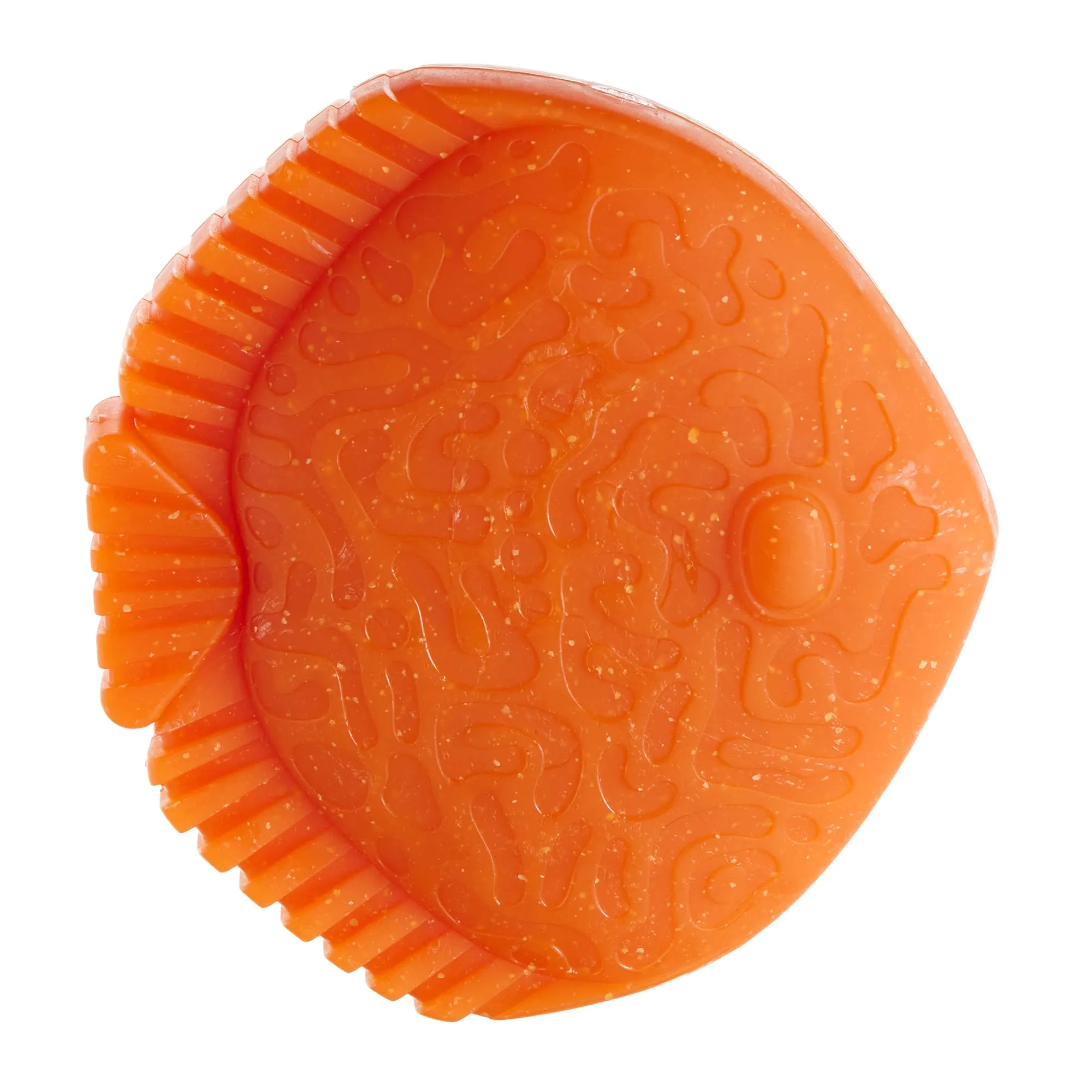 Bark Super Chewer Angela Angelfish Ocean Flounder Bath Toy Orange ...