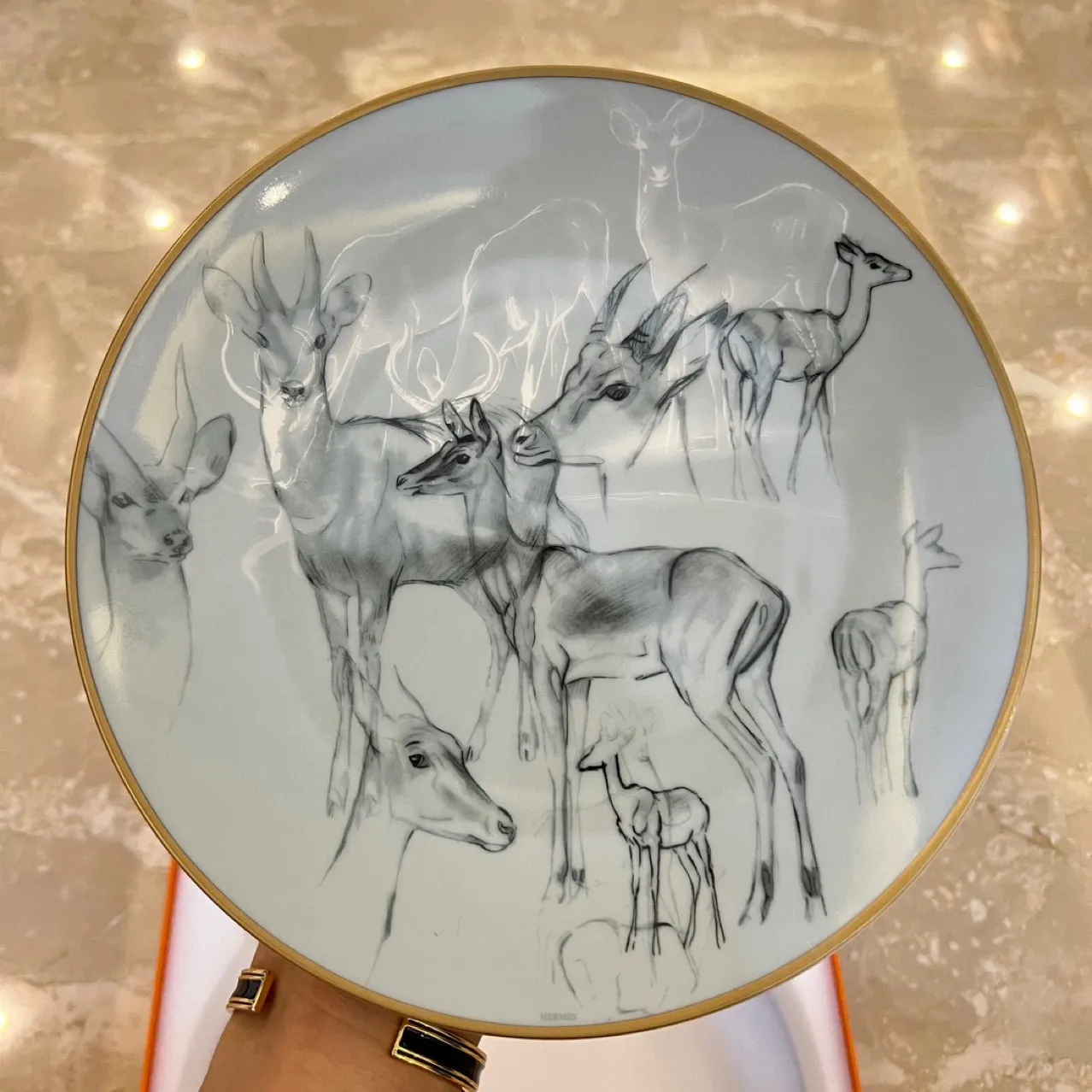 Set Equatorial Jungle Series Bone China Plates... From Urqueen, $192.76 ...