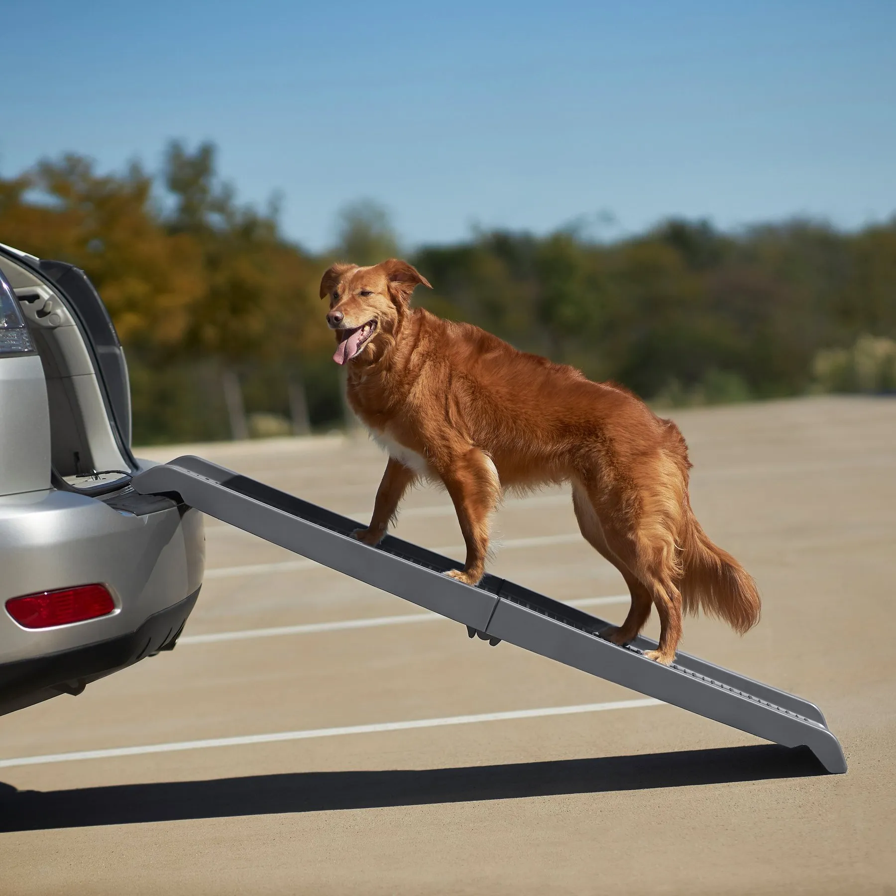 DHgate.com:Portable Folding Dog Car Ramp for Easy Pet Entry ...
