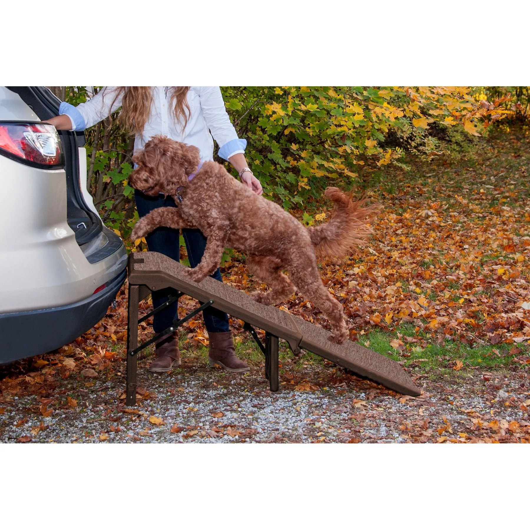 Extra Wide Carpeted Dog Car Ramp - Free Standing Design! Pet Friendly ...