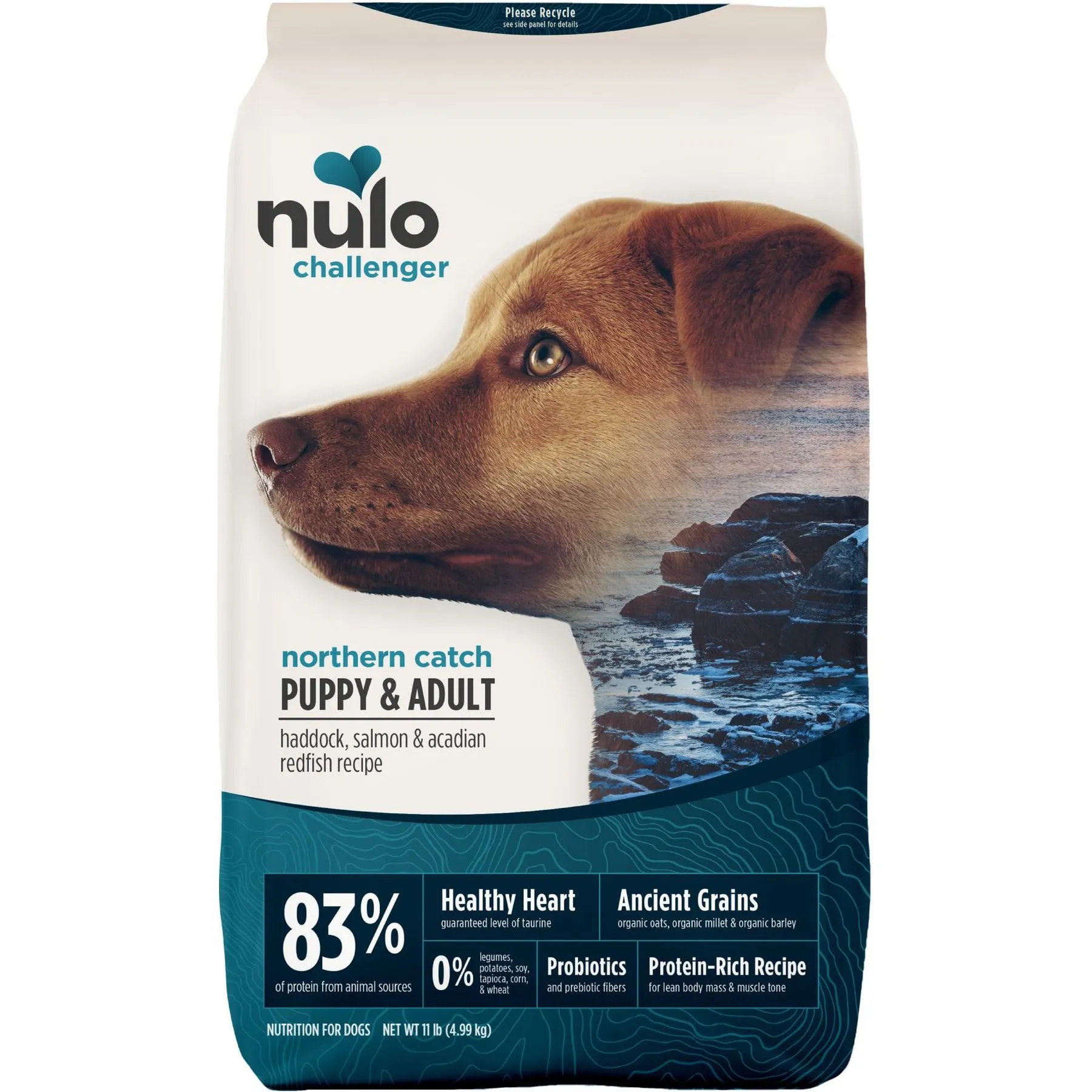 Premium Fish Recipe Dog Food - Puppy & Adult, Large Breed Formula, Shop ...