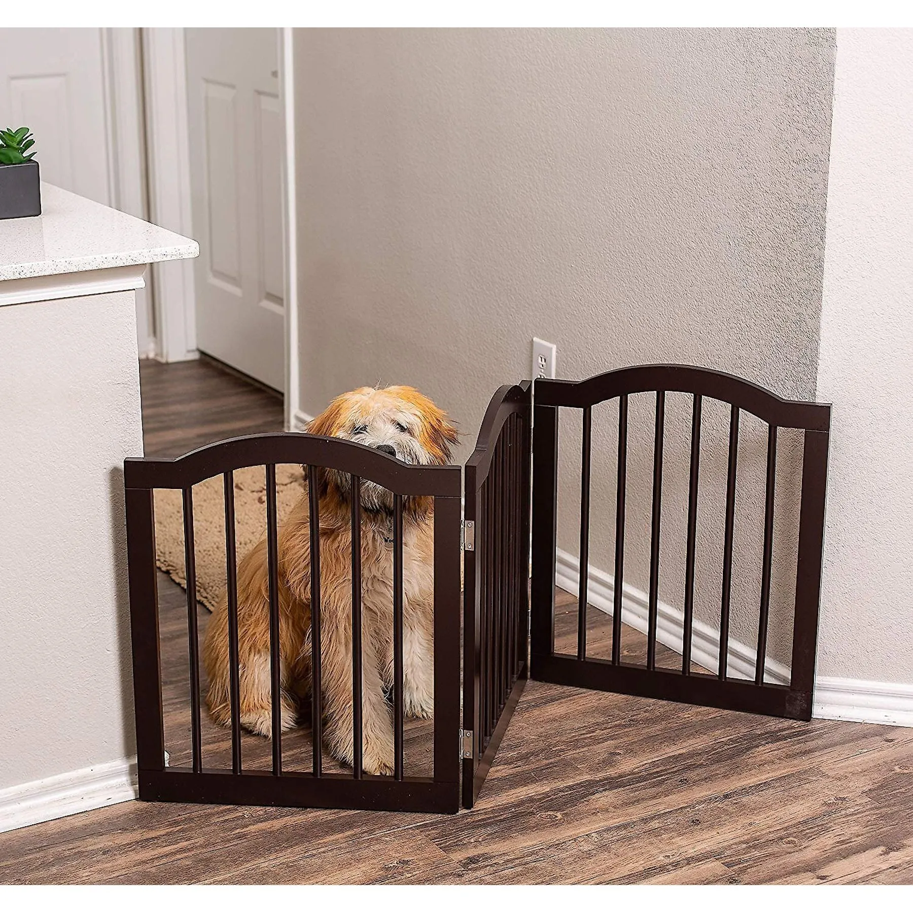Espresso Finish Wooden Pet Gate with Door: Traditional Arch Design ...
