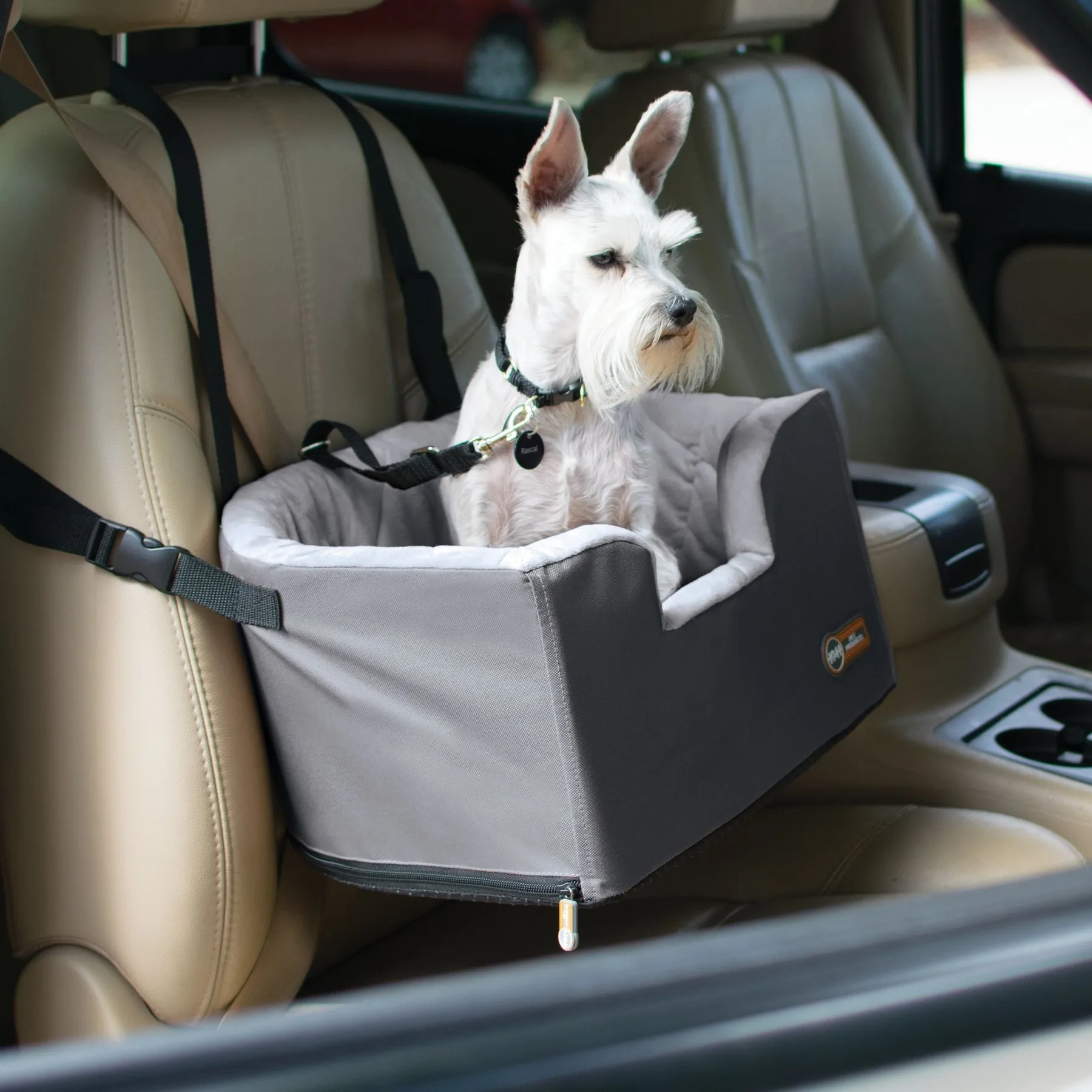 Cozy & Secure Raised Dog Car Seat: Travel Safely with Your Small Breed ...