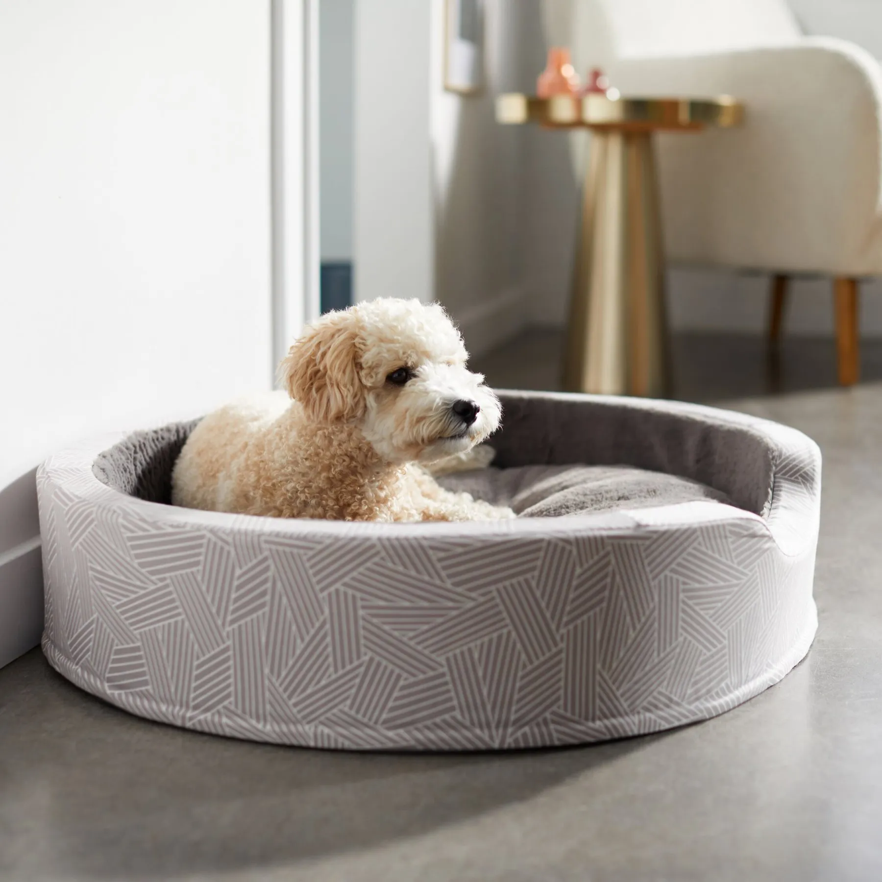 Cozy Orthopedic Pet Cuddle Bed - Ultimate Comfort for Dogs & Cats! Shop ...