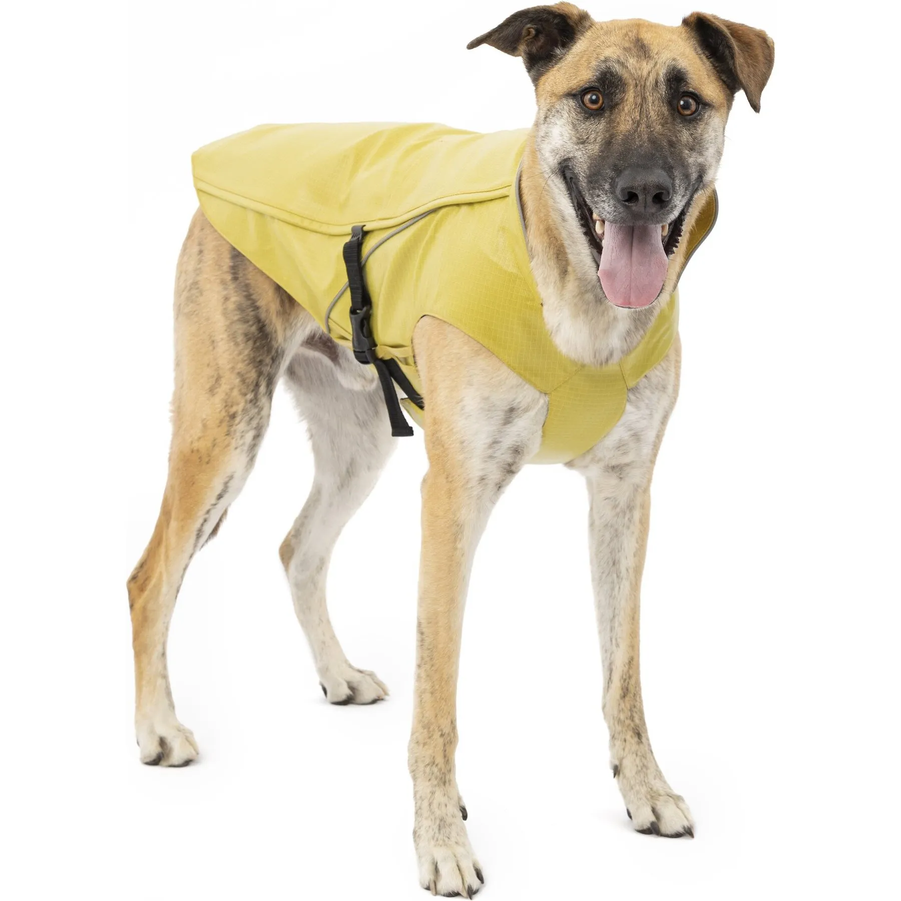 Bright Yellow Dog Rain Jacket: Lightweight, Adjustable Rain Shell for ...