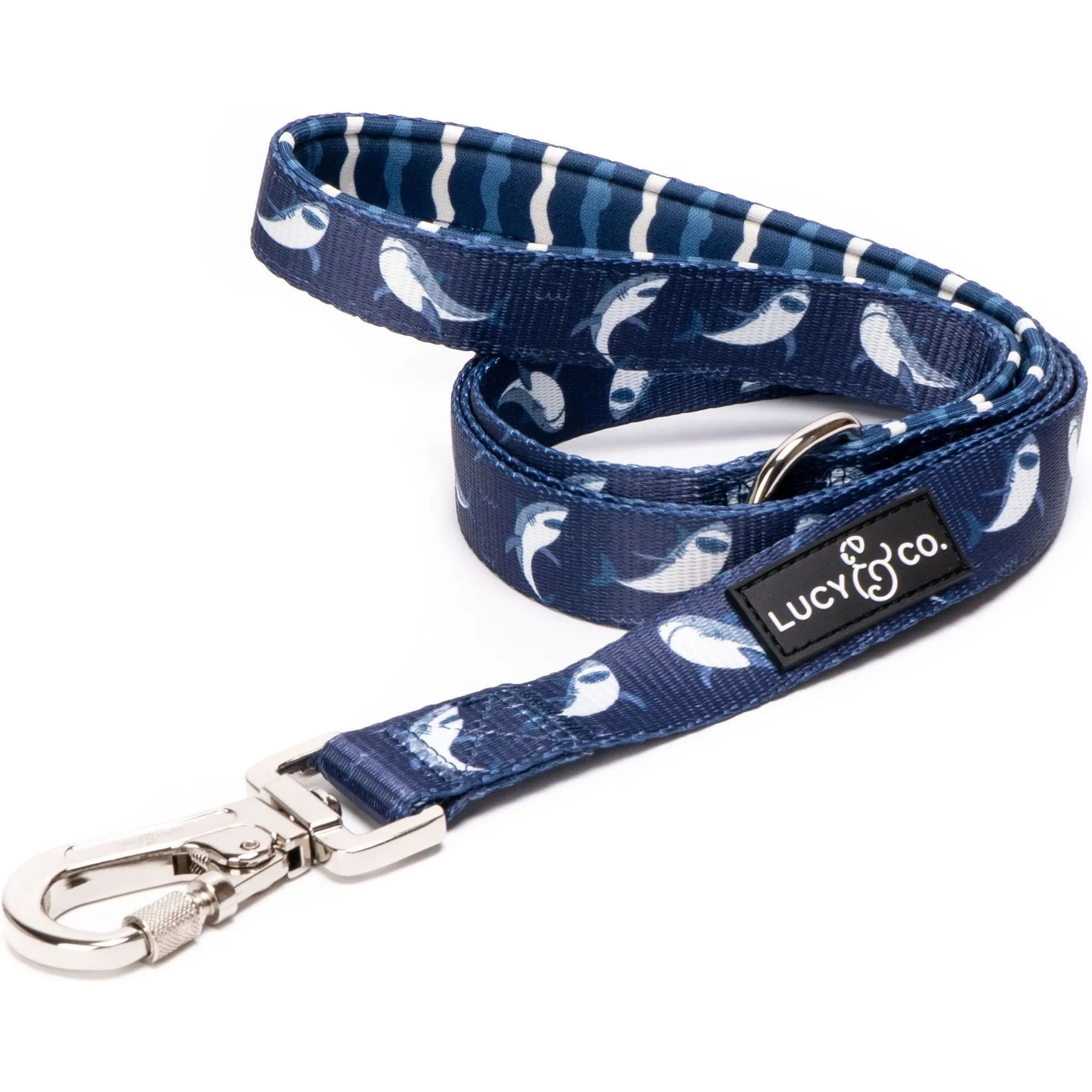 Padded Handle Dog Leash - Durable Polyester, Comfortable Grip, Shop Now ...