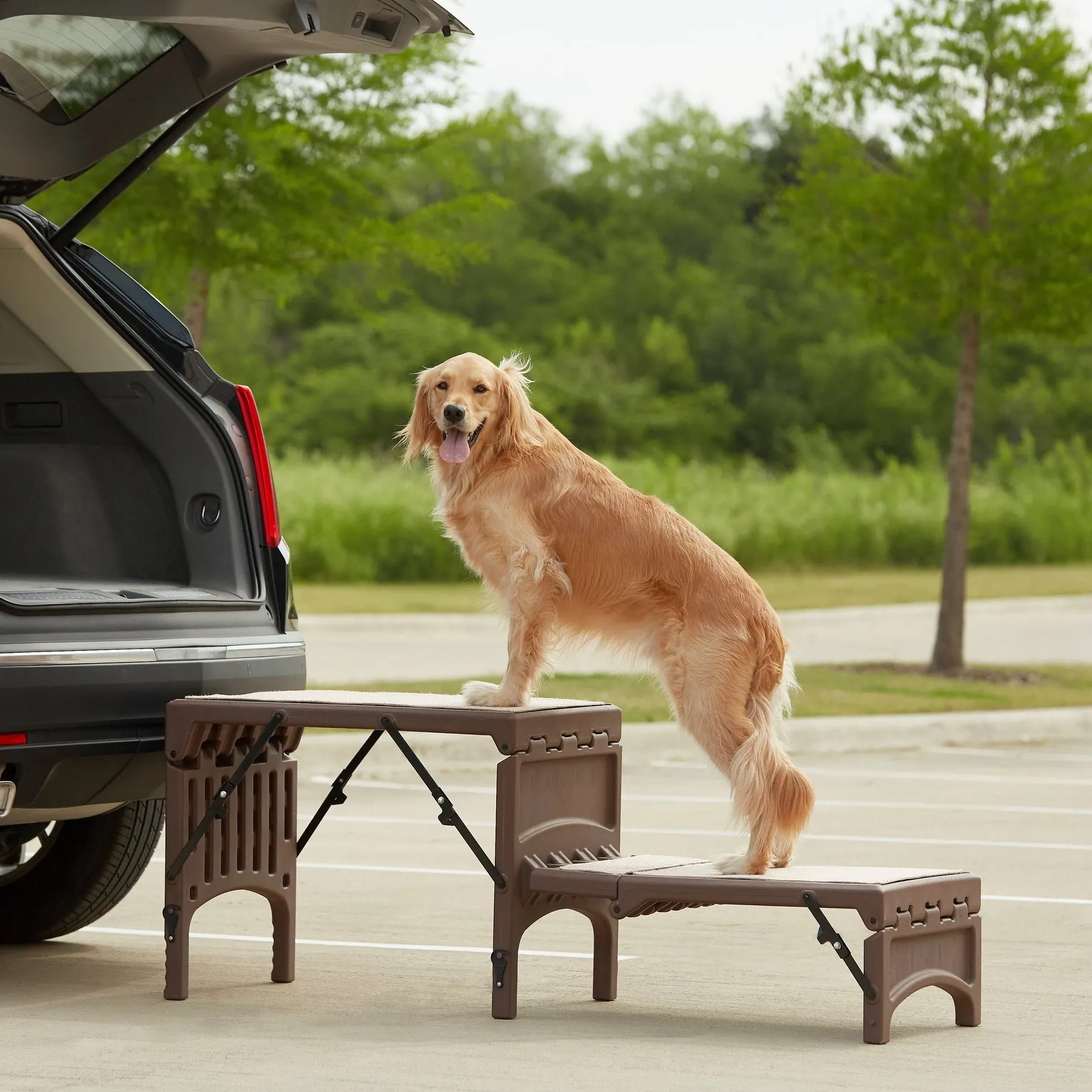 Foldable Dog Stairs for Cars - Portable Pet Steps, Best Seller! Shop ...