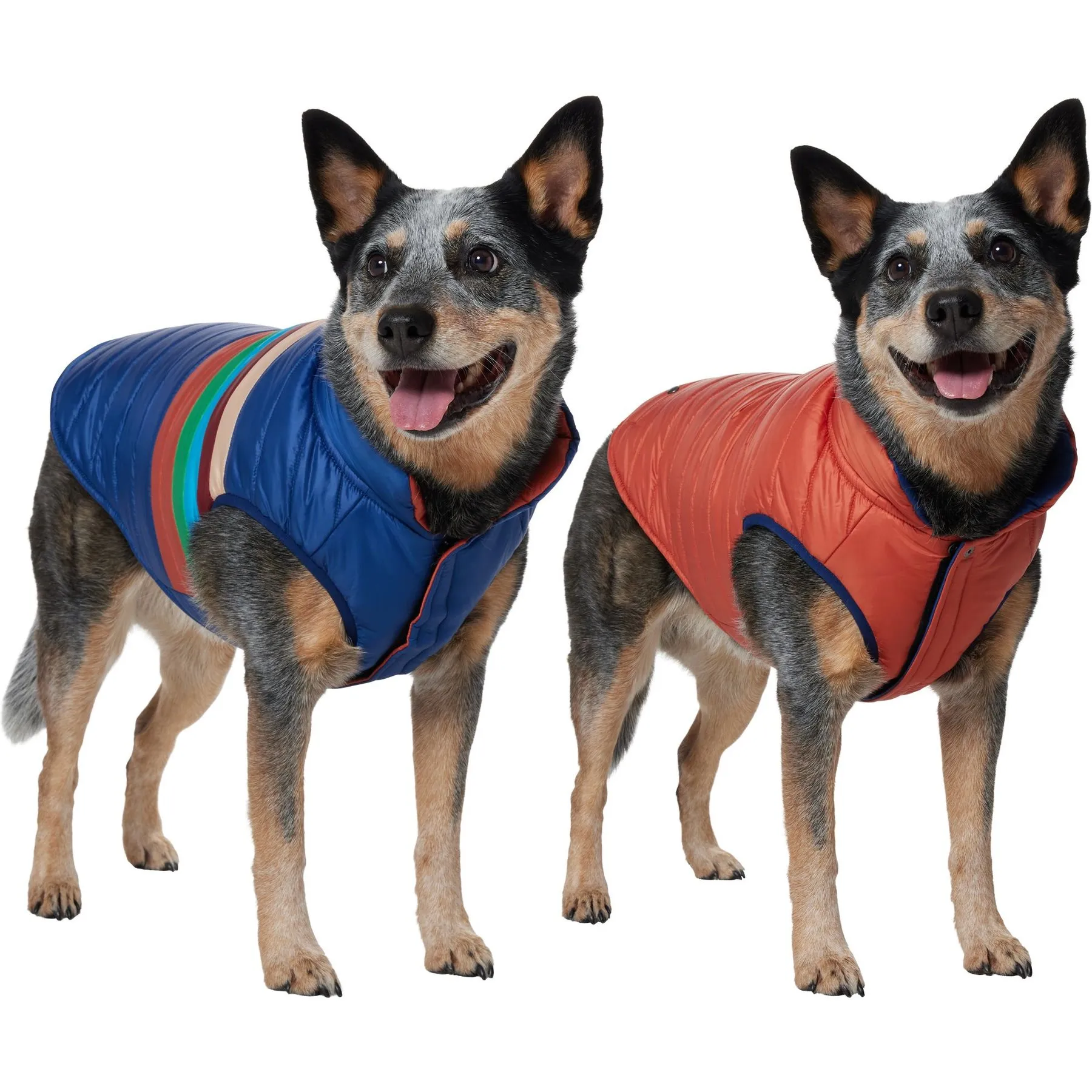 Lightweight Reversible Striped Pet Puffer - Packable Design! Perfect ...