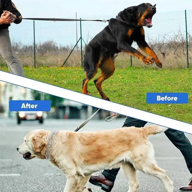 Adjustable Metal Chain Dog Collar with Rubber Tips - Safe Training ...